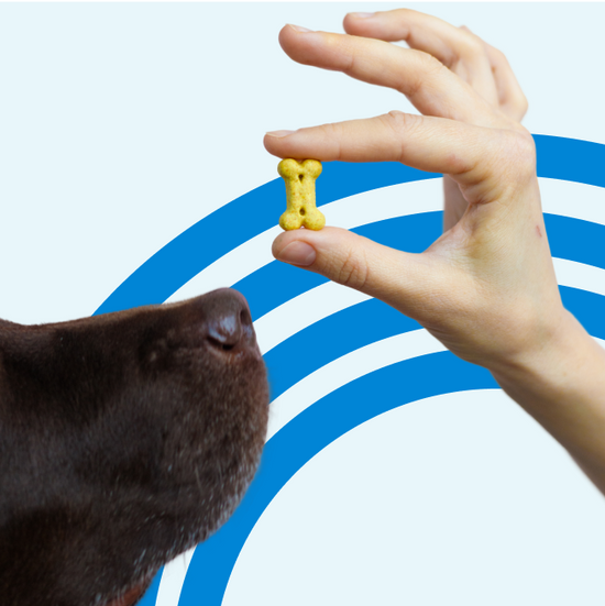 Nutrition Formulators